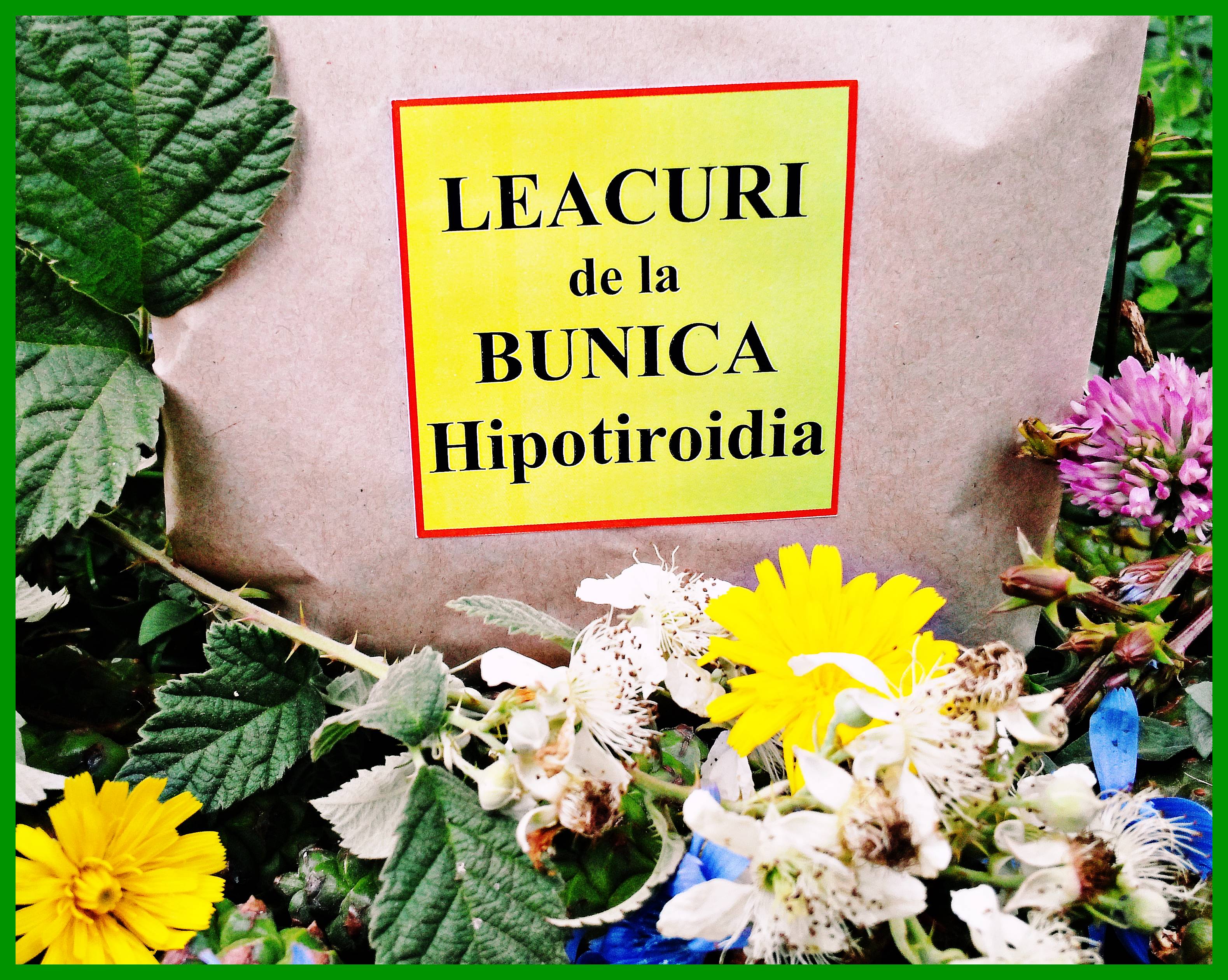 LEACURI DE LA BUNICA | Daniela şi Alexandru Buruiană Aprodu